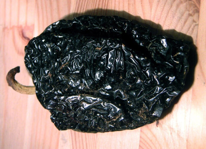 A Chile Pepper Primer: Mild to Medium Chiles – Mother Earth News